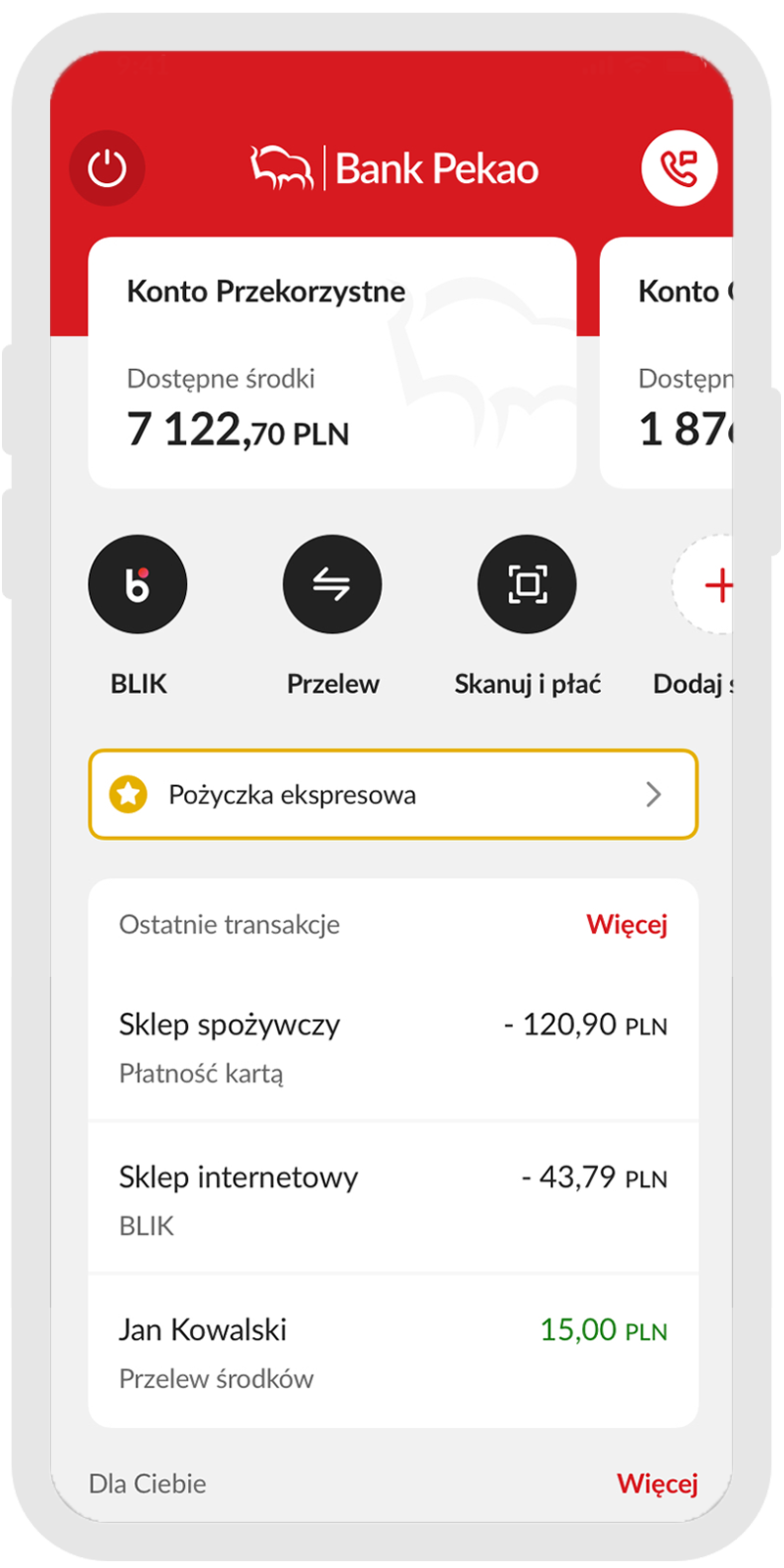 www.pekao24.pl - urlscan.io